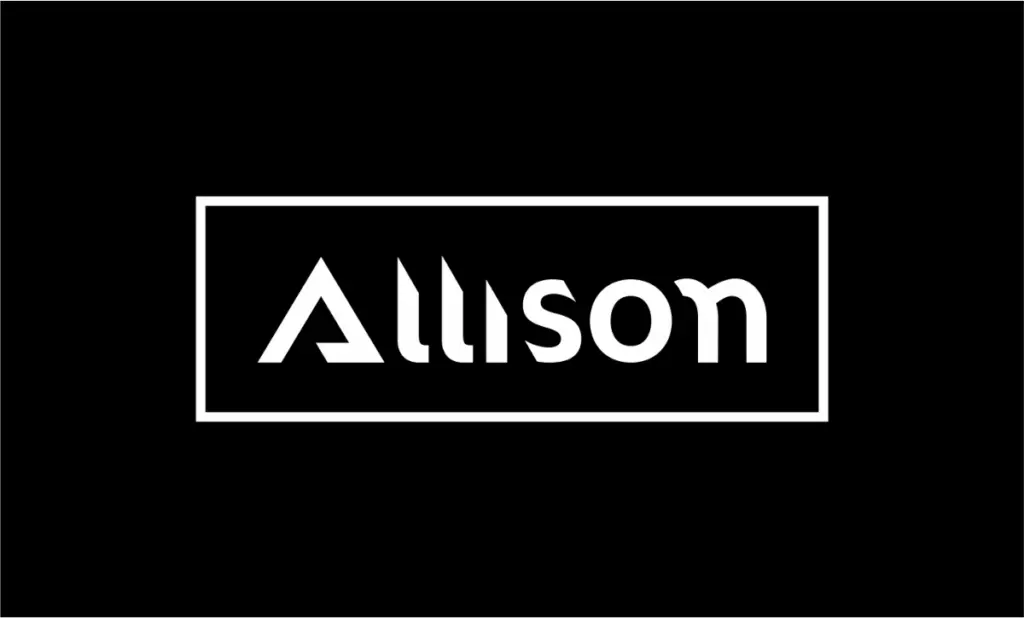 DJ in Goa | DJ Allison | Weddings De Goa